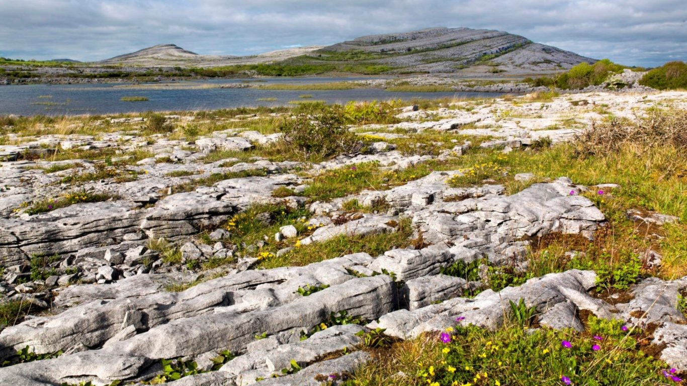 Burren National Sanctuary | Things to Do Galway | 4* Oranmore Lodge